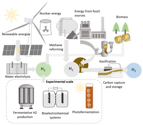 Meti Backs Social Implementation Of Hydrogen Bacteria For Co2resource Conversion Superpi