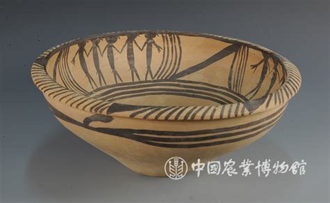 藏品 陶器 彩陶 乐舞器 舞蹈纹盆复制马家窑文化类型 全国农业展览馆中国农业博物馆 全国农业展览馆