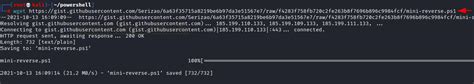 One Line Reverse Shell Powershell Kangtyou A Place For Patrick