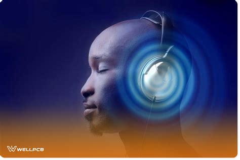 Diy Noise Filter Circuit Pcb Project Guide Layout Design