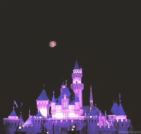 Why Do People Love Disneyland So Much Comm345s Blog