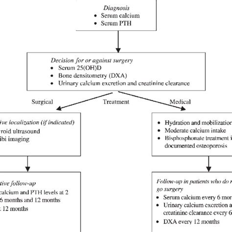 Pdf Primary Hyperparathyroidism Diagnosis And Management In The Older Individual