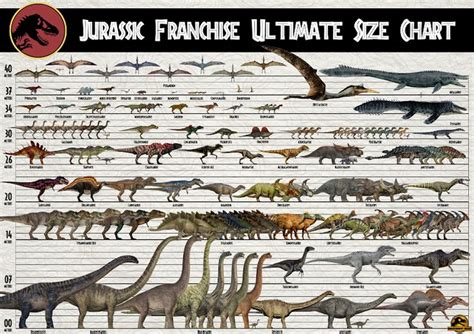 Poster Ilustrado De Dinossauros Tipos E Tamanhos