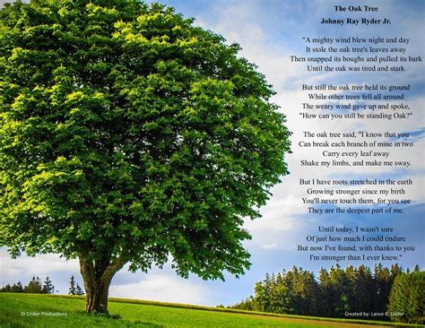 The Oak Tree Poem Etsy
