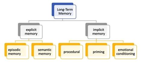 Memory Flashcards Quizlet