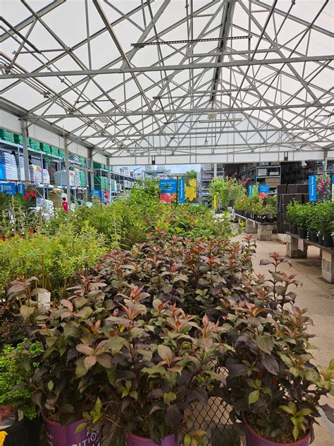 Garden Centre At Rona 18401 Yonge Street East Gwillimbury On L9n