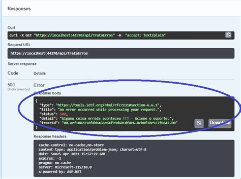 Aspnet Core Tratamento De Erros Global Net 5