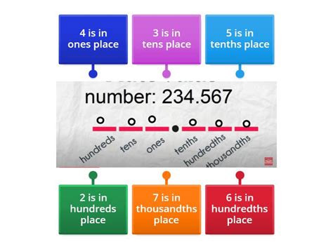 Linh Decimal 2 Labelled Diagram