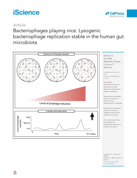 Pdf Bacteriophages Playing Nice Lysogenic Bacteriophage Replication