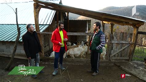 სოფლად დაბრუნებული ოჯახის ცხოვრება და მათი თხის ფერმა მოგზაურობა ზემო