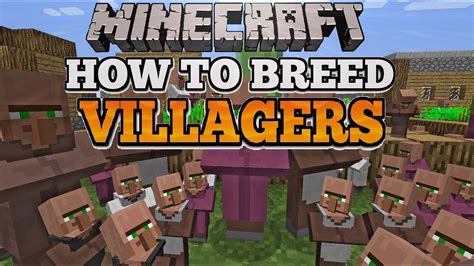 How To Make Villagers Breed In Minecraft Java Edition At Roslyn Cooper Blog