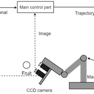 The Schematic Diagram Of The Fruit Recognition System For The Target Of Download Scientific