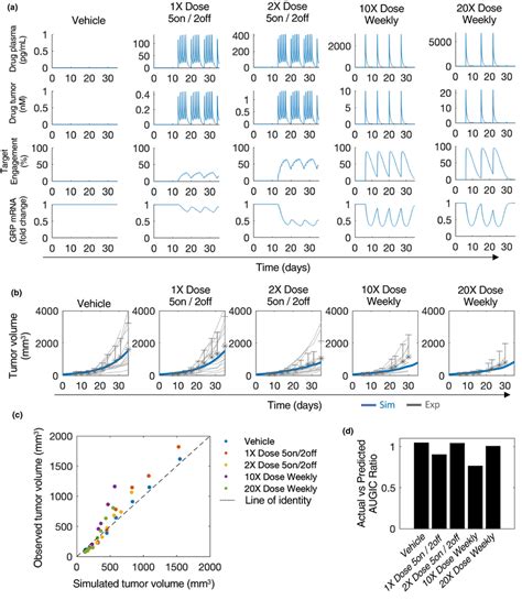 In Vivo Drug Efficacy Predictions A Various Dosing Regimens Download Scientific Diagram
