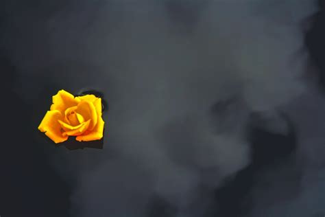 What Is Laddering Strategy