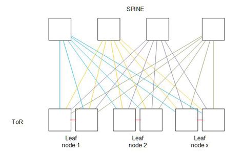 Spine And Leaf Nodes