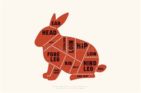 Rabbit Cuts Diagram In Silhouette Style Stock Vector Illustration Of Meat Farm 283054060