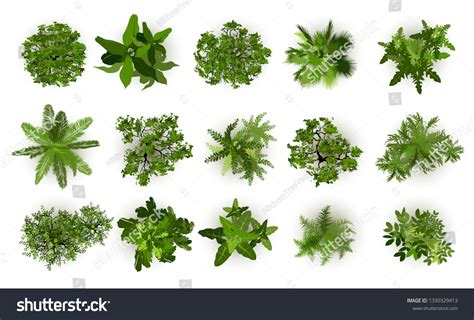 33 654 Plants Plan View Images Stock Photos Vectors Shutterstock