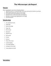 Understanding Microscopes Parts Techniques And Functions Course Hero