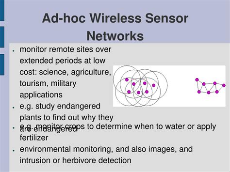 Ppt Research In Wireless Ad Hoc Sensor Networks Routing And Data