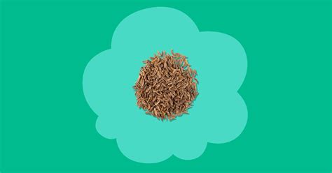 Fennel Seeds For Gas And Bloating We Take A Long Hard Sniff