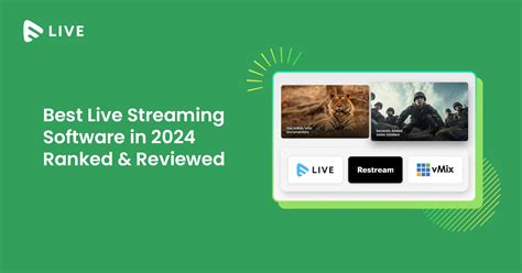 10 Best Live Streaming Software For Creators 2025