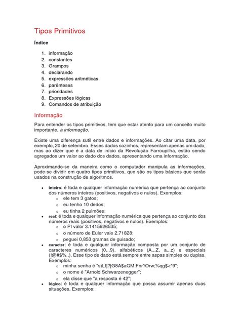 Tipos Primitivos 1 Pdf Matemática