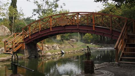 台南雙落羽松二日遊｜六甲落羽松秘境＆玄空法寺＆巴克禮公園落羽松｜台北＆桃園＆新竹＆台中出發 Kkday