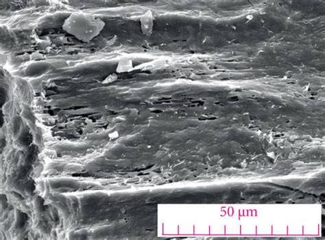Scanning Electron Microscope Photomicrographs Showing Pore Space And