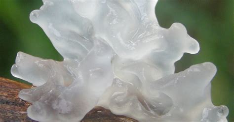 How To Add A User Account Using Cmd Chipslalapa