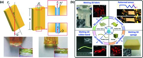 a the capacitive and resistive modes of ionic elastomers based on