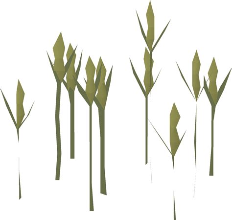 Filewheat 6png Osrs Wiki