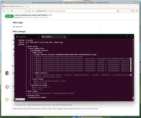 Start Systemd And Cannot Start Firefox · Issue 838 · Microsoftwslg · Github