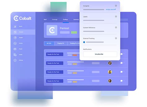 Find Out Why Developers Love Pentest As A Service Ptaas Help Net Security
