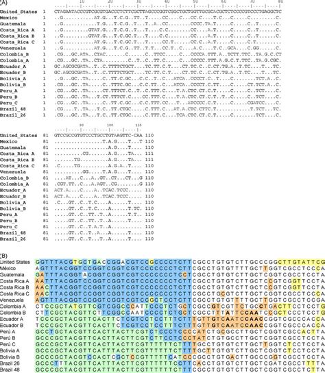 Sequence Alignment Of Parsimonius Informative Sites Of The Coding Download Scientific Diagram