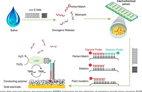 Figure 1 From Noninvasive Saliva Based Egfr Gene Mutation Detection In