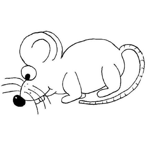 생쥐 색칠 공부 Kr에서 무료 색칠 공부