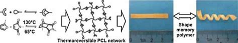 Thermoreversibly Crosslinked Polyε‐caprolactone As Recyclable Shape‐memory Polymer Network