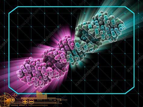 Double Stranded Rna Molecule Stock Image C035 5002 Science Photo Library