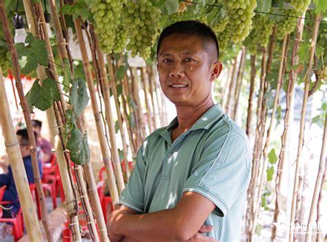 Quán Dưới Vườn Nho Trĩu Quả ở Tphcm Gây Sốt Khách Vượt đường Xa đến