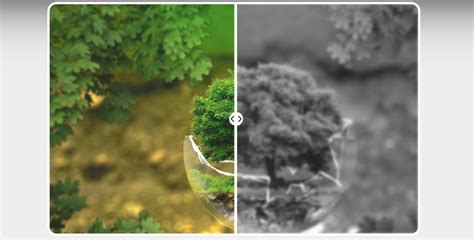 使用纯 Javascript 实现的拖动滑块比较图片 童哲网