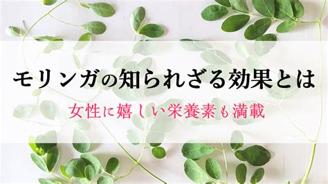 モリンガの知られざる効果とは。女性に嬉しい栄養素も満載 自然派食品の専門店｜モノエル Naturi