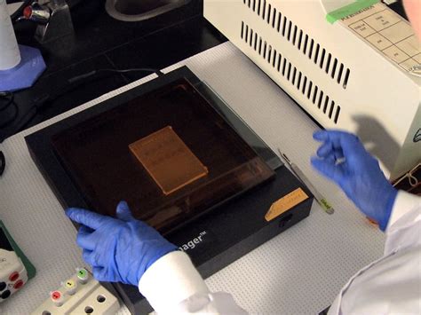 Video Next Generation Sequencing Of 16s Ribosomal Rna Gene Amplicons