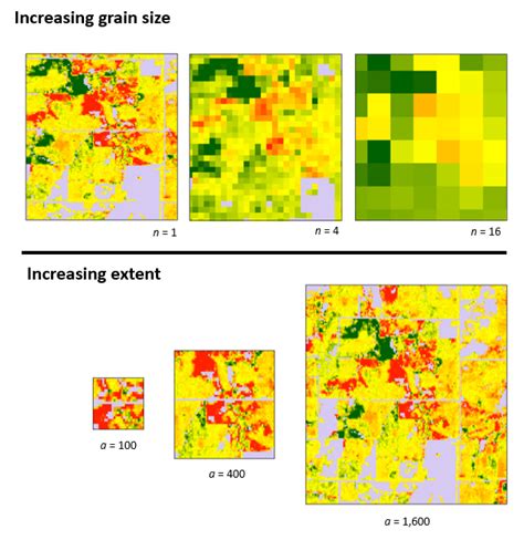 spatial scale scale passel
