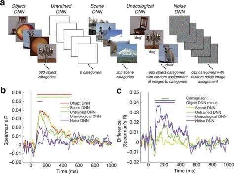 Architecture Task And Training Procedure Inluence The Correlation Download Scientific Diagram