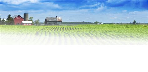 Why Carbon Capture Smart Carbon Network