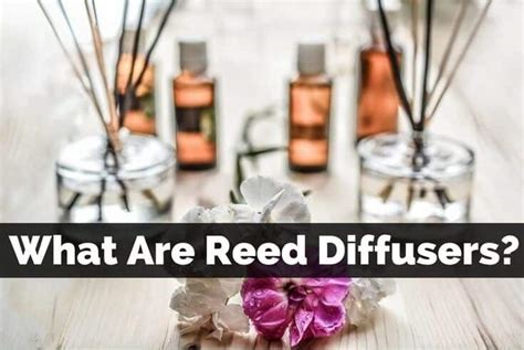 What Are Reed Diffusers For Your Massage Needs