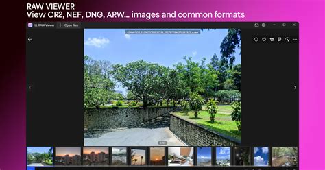 Ll Raw Viewer Raw Viewer Raw To 
