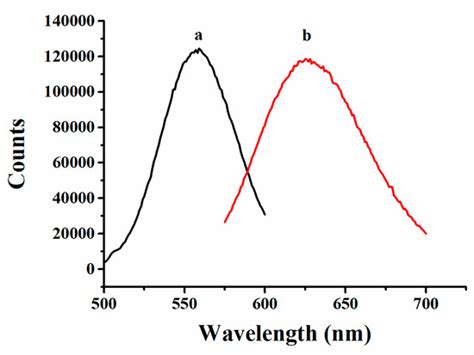 Fluorescence Sensors For The Detection Of L Histidine Based On Silver Nanoclusters Modulated By