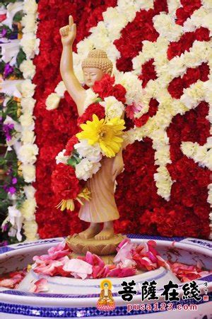 河北保定兜率寺2016年浴佛祈福暨舍利瞻仰胜会圆满 菩萨在线