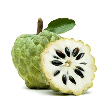 Annona Squamosa Paradise Garden